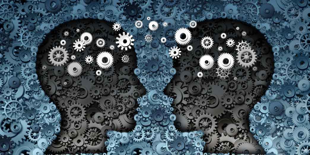 Nuvigil vs Provigil: Which One to Choose? | Nootrilab